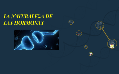La Naturaleza de las Hormonas by abigail zuleyma zuly on Prezi