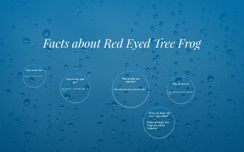 Facts about Red Eyed Tree Frog by 5thCunn Students on Prezi