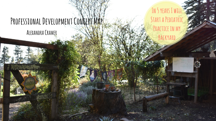 Professional Development Concept Map by Alexandra Cramer on Prezi