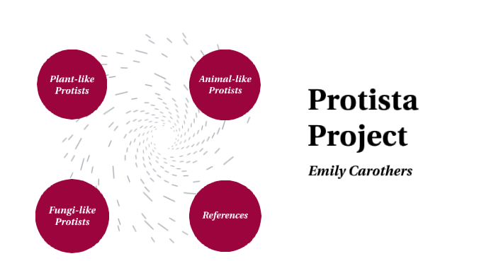 Protista Project by Emily Carothers on Prezi