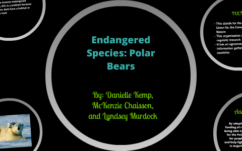 By: Danielle Kemp, McKenzie Chaisson, and Lyndsey Murdock by Lyndsey ...