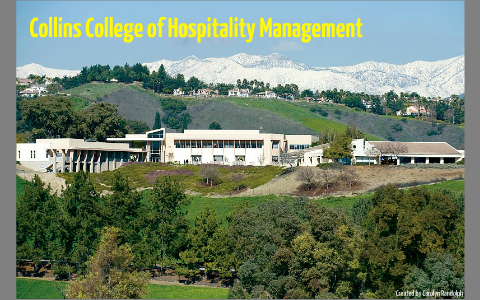 Collins College Promo by Carolyn Randolph on Prezi