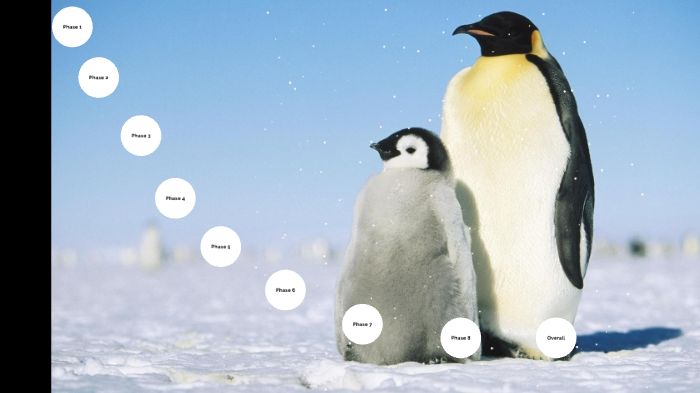 penguin stuff by Cate Kyling on Prezi