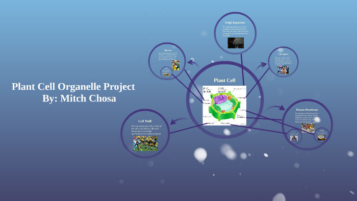 Plant Cell Organelle Project by Mitch Chosa on Prezi