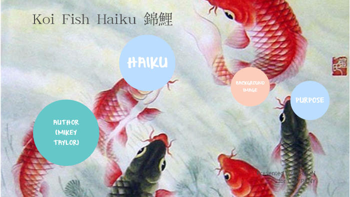 Koi Fish Haiku by Mikey Taylor on Prezi