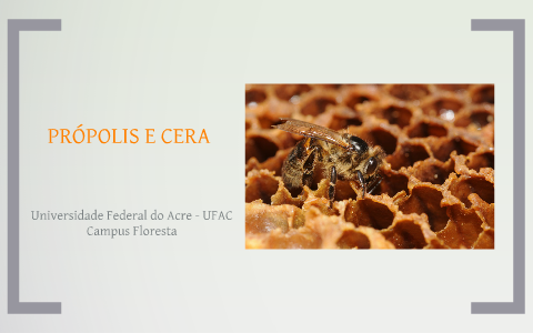 Cera e Própolis by Andressa Souza on Prezi