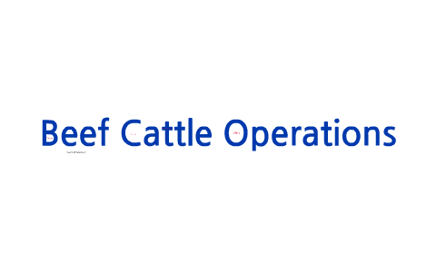 Types of Beef Cattle Operations - Part 2 by Ashley Principato on Prezi