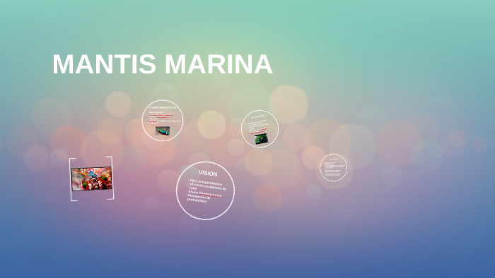 MANTIS MARINA by Álvaro Naya on Prezi