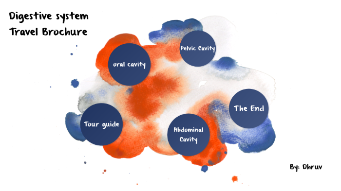 Digestive System Travel Brochure Bio 20 by dhruv tailor on Prezi