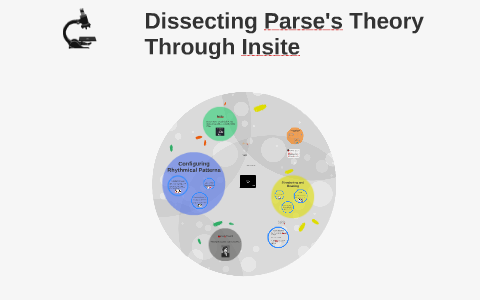 Dissecting Parse's Theory Through with Insite by Francesca Tomarchio on ...