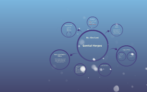 Genital Herpes by Alex Lent Lent on Prezi