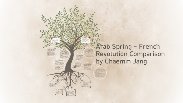 Arab Spring - French Revolution Comparison by Chaemin Jang on Prezi