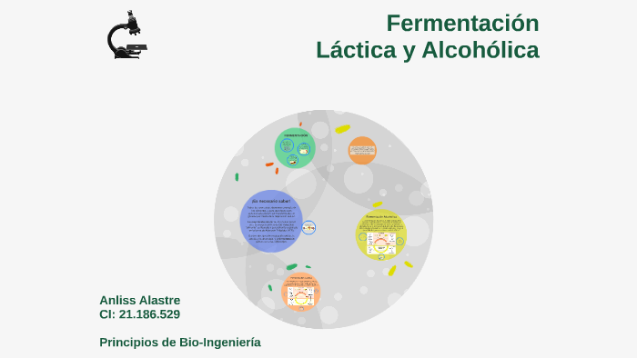 Fermentación láctica y alcohólica by Anliss Alastre on Prezi