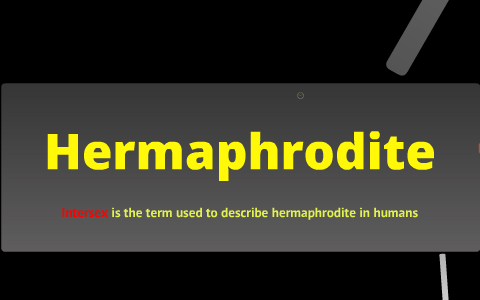 hermaphrodite by manuel palacios on Prezi