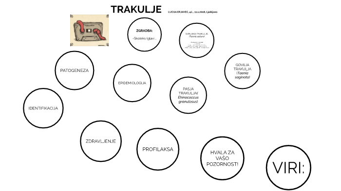 TRAKULJE by Lucija . on Prezi