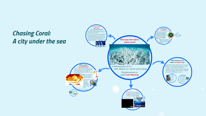 Chasing Coral by on Prezi