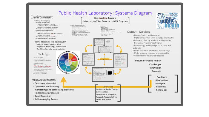 Public Health Laboratory System Diagram by Joselita Joaquin on Prezi