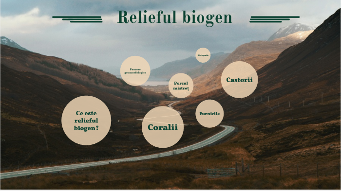Relieful biogen by Ioana Popa on Prezi