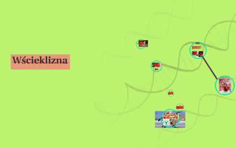 Wścieklizna by Martyna Krysiak on Prezi