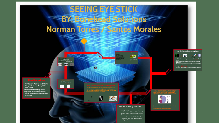 Seeing Eye Stick by on Prezi