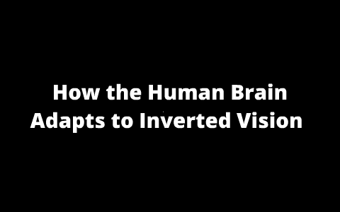 How the Human Brain Adapts to Inverted Vision by Scott Larter on Prezi