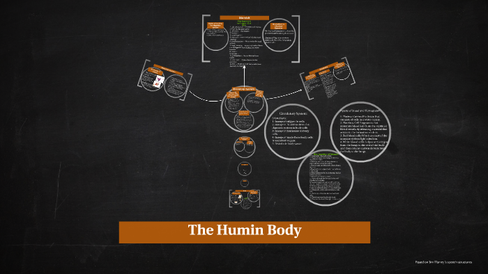 The Humin Body by on Prezi