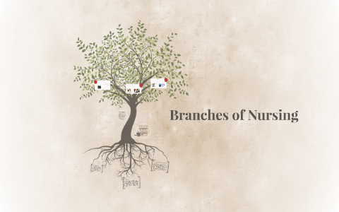 Branches of Nursing by Chelsey Duckworth on Prezi