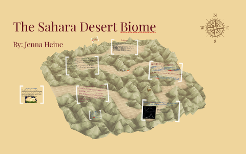Sahara Desert Biome by Jen Heine on Prezi