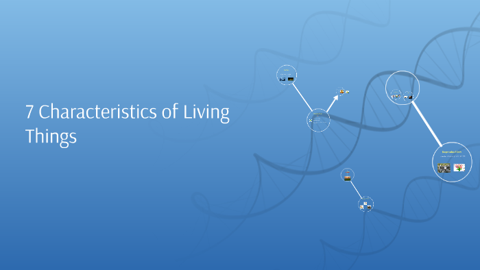 7 Characteristics of Living Things by Dean Ducreay on Prezi