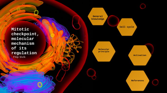 Mitotic checkpoint, molecular mechanism of its regulation by Filip ...