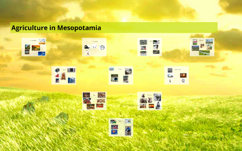 Agriculture in Mesopotamia by Rachel Peterson