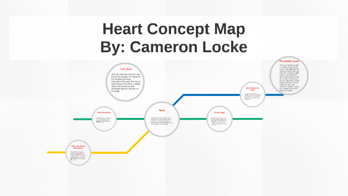 Heart Concept Map by Cameron Locke on Prezi