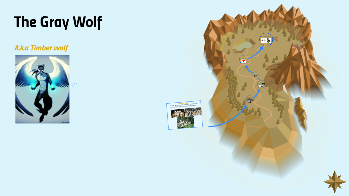 The Gray Wolves are sophisticated animals which have evolved by Andrew ...