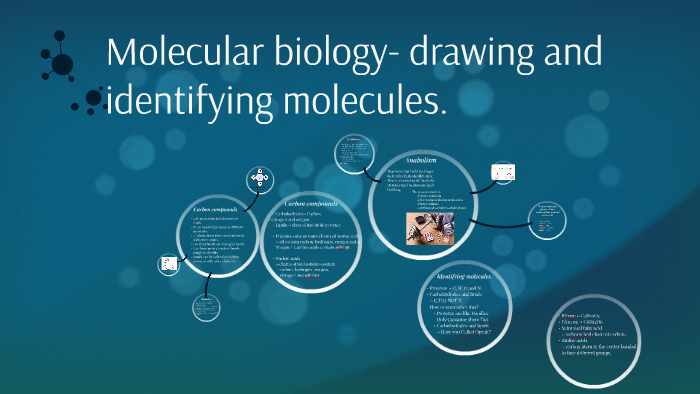 Molecular biology- drawing and identifying molecules. by Greta Valchi ...