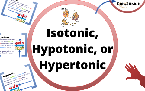 hyper hypo iso by niza bermudez on Prezi