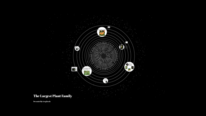 The Largest Plant Family by Greg Resch on Prezi