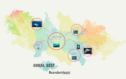 Coral Reef by brandon vestri on Prezi