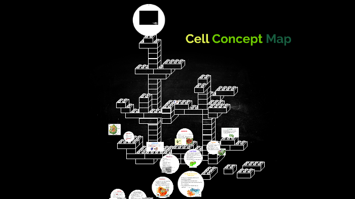 Cell Concept Map for Cell Bio by Hunter Williams on Prezi