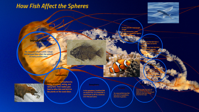 How Fish Affect the Spheres by Jayanna Nycum on Prezi