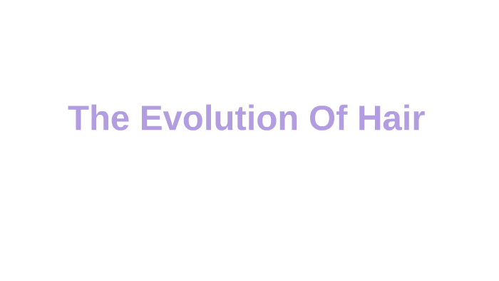 The Evolution Of Hair by Sonia Sharma