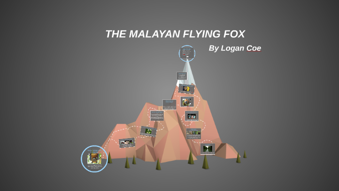 THE MALAYAN FLYING FOX by Logan Coe on Prezi