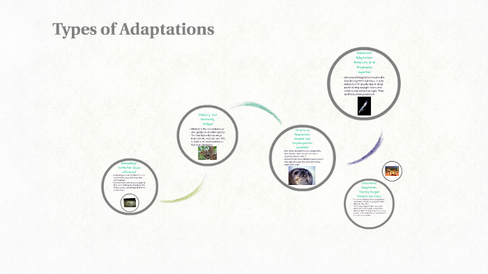 Types of Adaptations by Hans Daduya on Prezi
