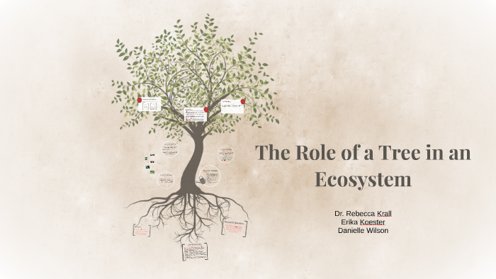 The Role of a Tree in an Ecosystem by Danielle Wilson on Prezi