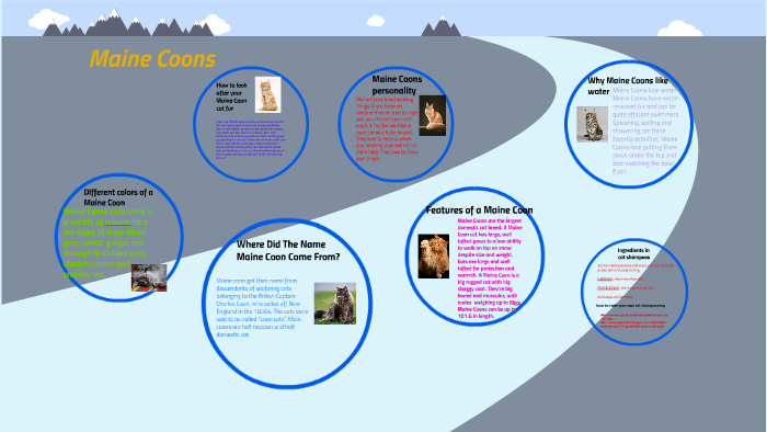 Maine Coons the the cutest cats ever !!! by Libby Purcell on Prezi