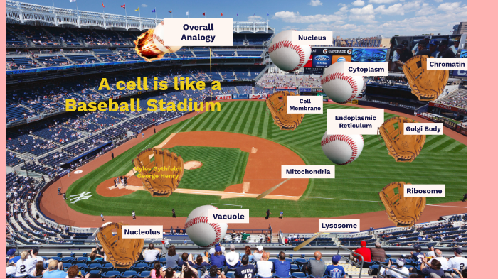 Cell Analogy Project by George Henry on Prezi