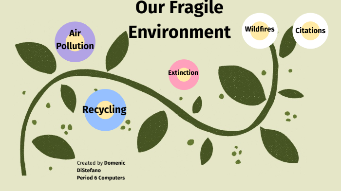 Our Fragile Environment - DiStefano by Domenic DiStefano