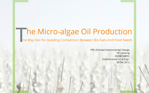The Production of Microalgae Oil by Liusixing HE on Prezi
