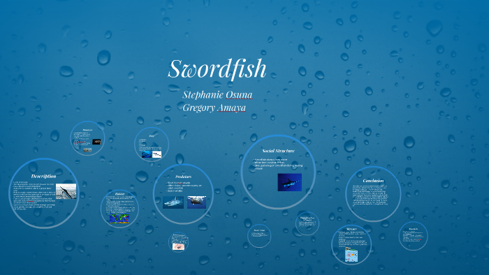 Swordfish by stephanie osuna on Prezi