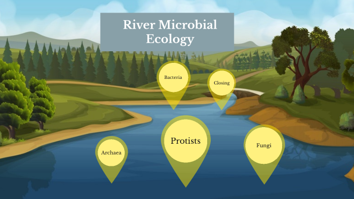 River Ecology of Microorganisms by Cory Jackson on Prezi