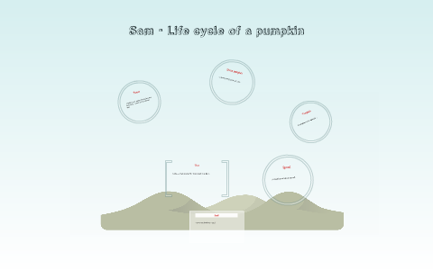 Sam - Life cycle of a pumpkin by Rowena Sablan on Prezi